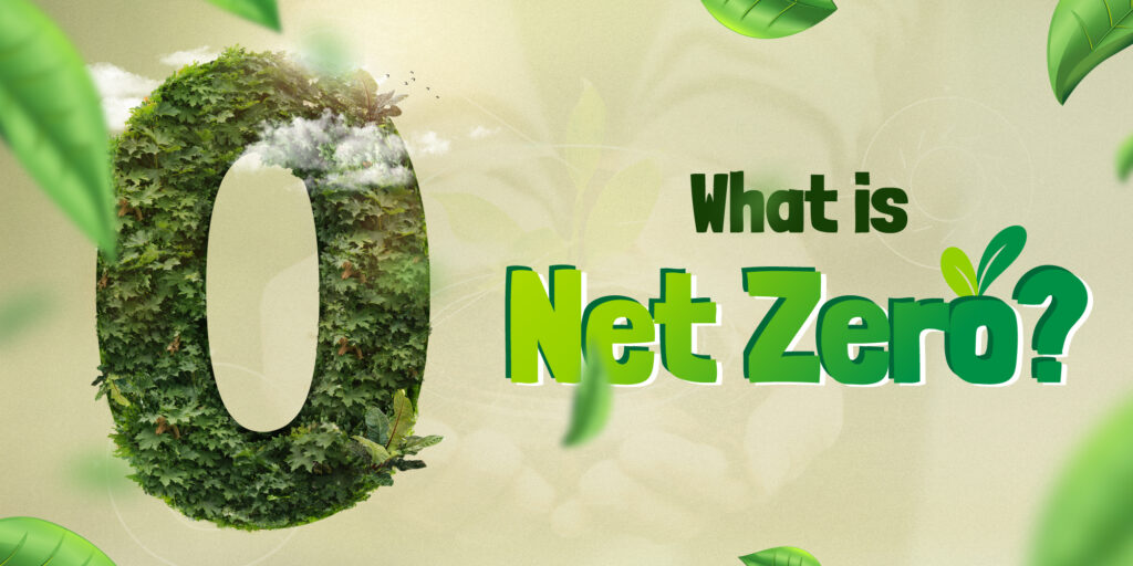 What is Net zero? - NIST Global Pvt Ltd